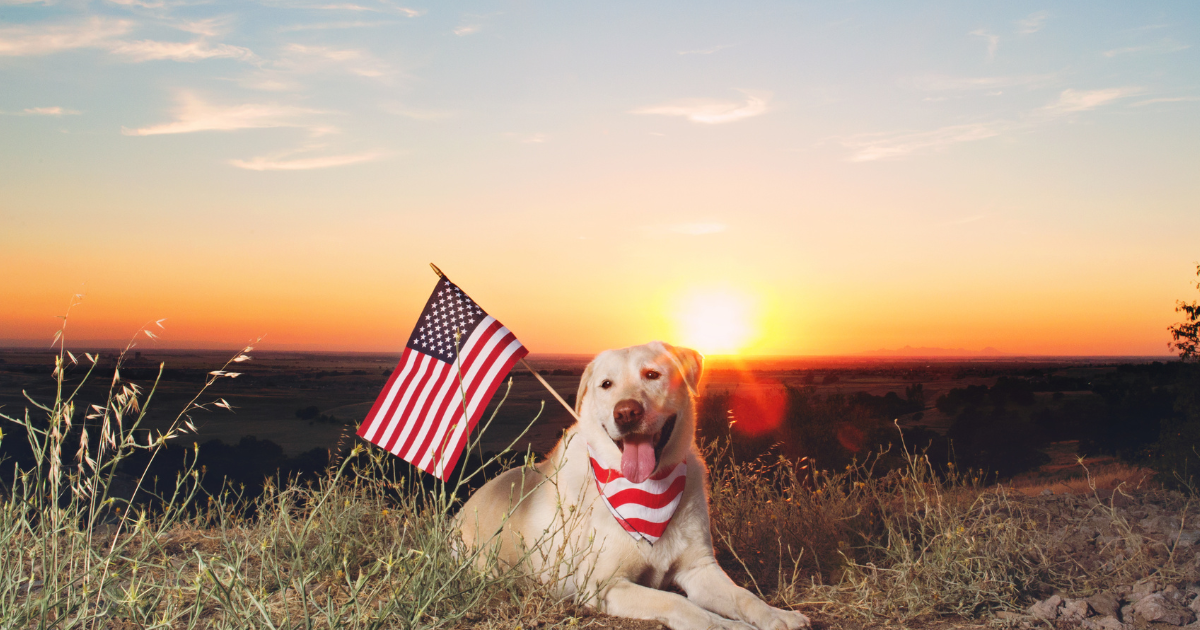 Home | Thomas J. Meskill Law Library